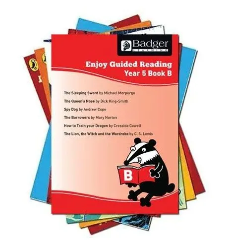 Buy Badger Guided Reading Year 5 Pack B | Pandora Books