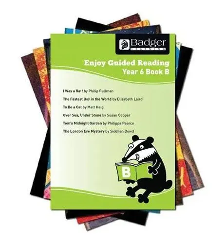 Buy Badger Guided Reading Year 6 Pack B | Pandora Books