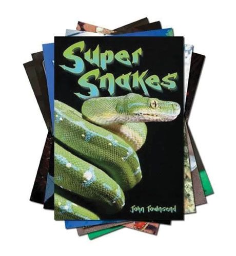 Reading Schemes for Primary Schools | Pandora Books