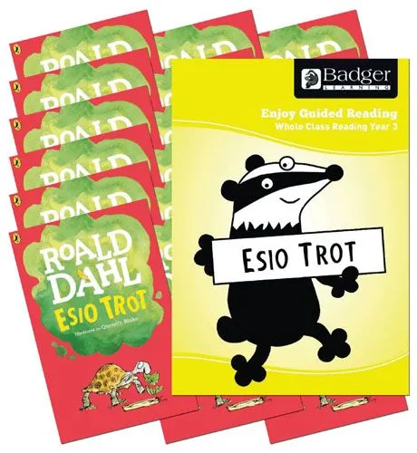 Buy Esio Trot Whole Class Guided Reading Set | Pandora Books