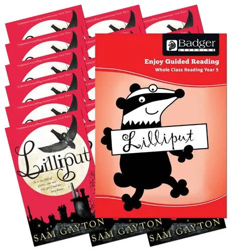 Buy Lilliput Whole Class Guided Reading Set | Pandora Books